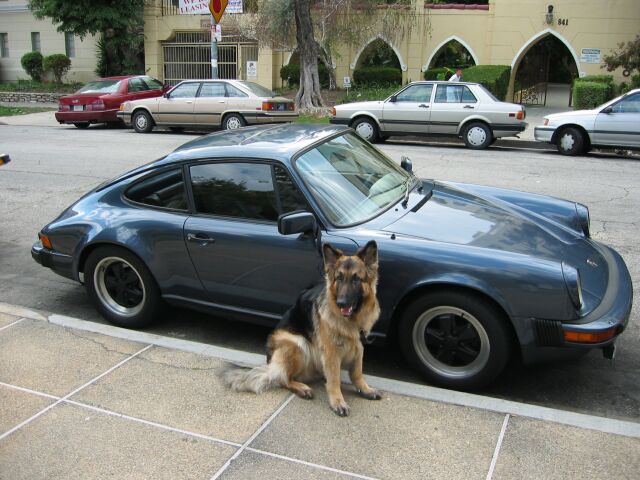 Pazific Blue 1982 911SC - Pelican Parts Forums