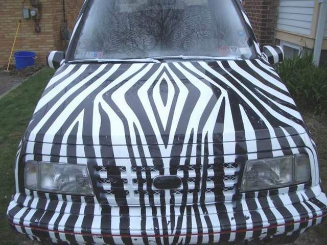 Zebra striped rally 912 & other scenes from the Copperstate 1000 start ...